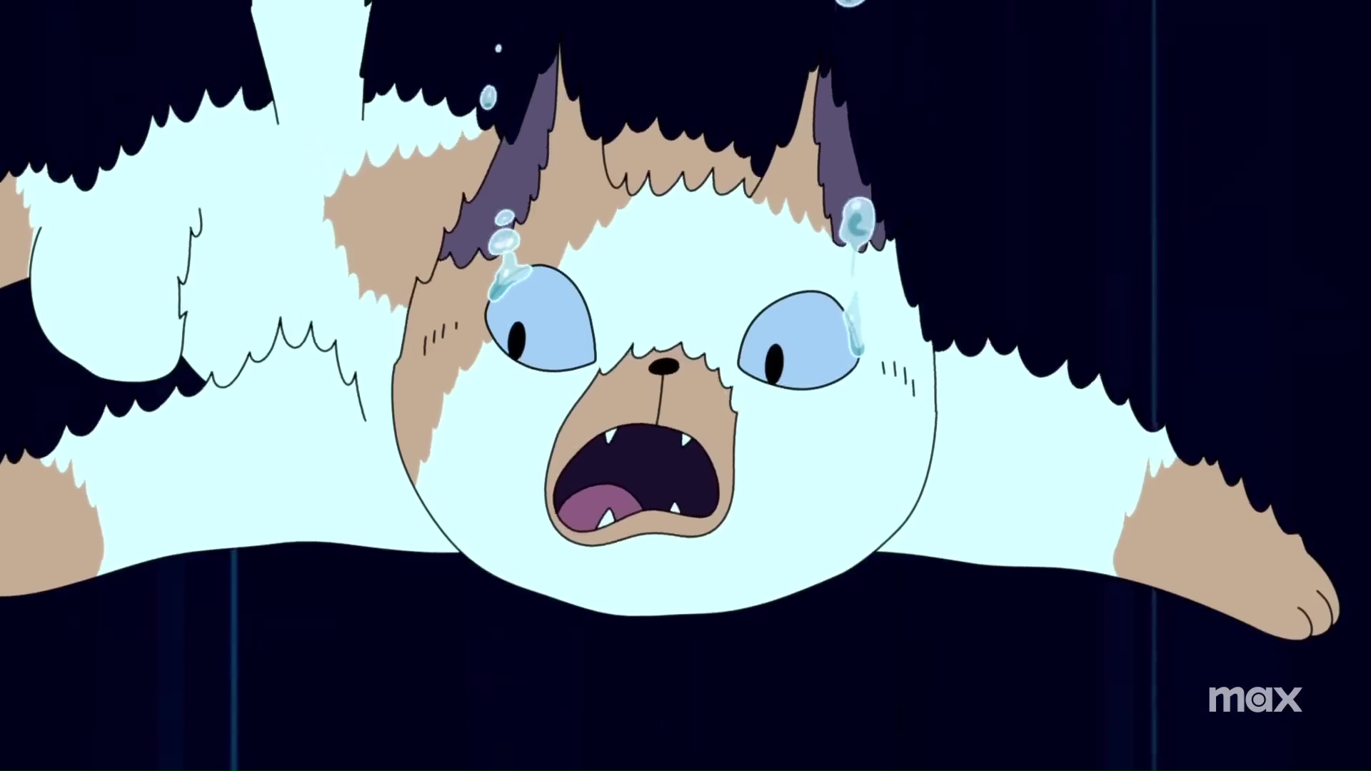 Adventure Time Fionna And Cake Anime Animeclickit