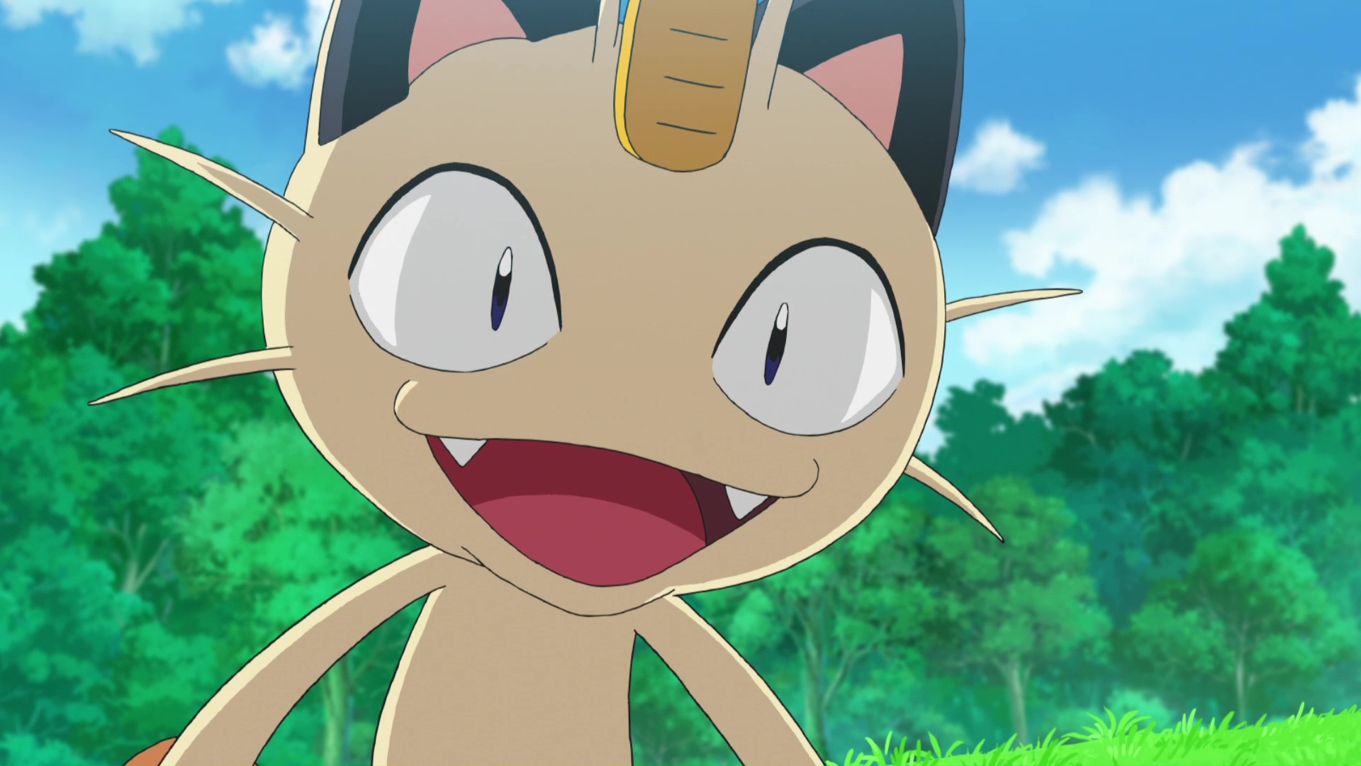 Pokémon: Maestro di Pokémon: La serie (Anime) | AnimeClick.it