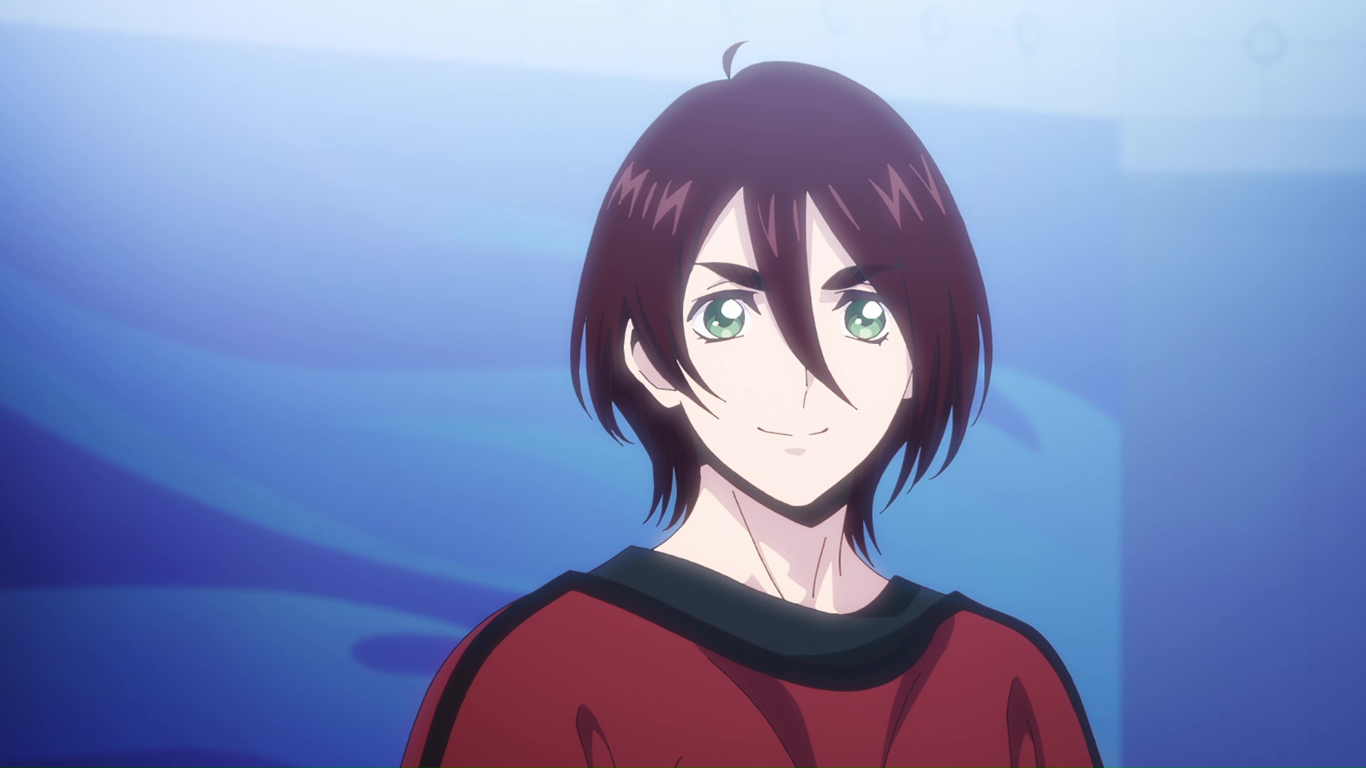 Cardfight!! Vanguard DivineZ Deluxe Finals (Anime) | AnimeClick.it