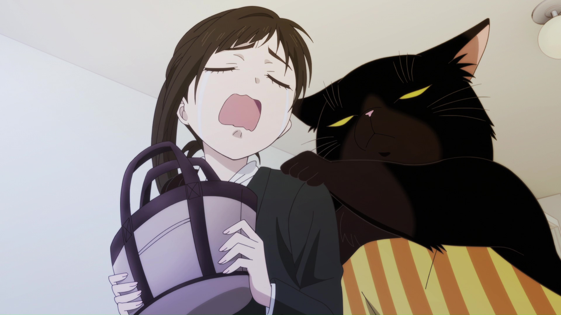 The Masterful Cat is Depressed Again Today (Anime) | AnimeClick.it