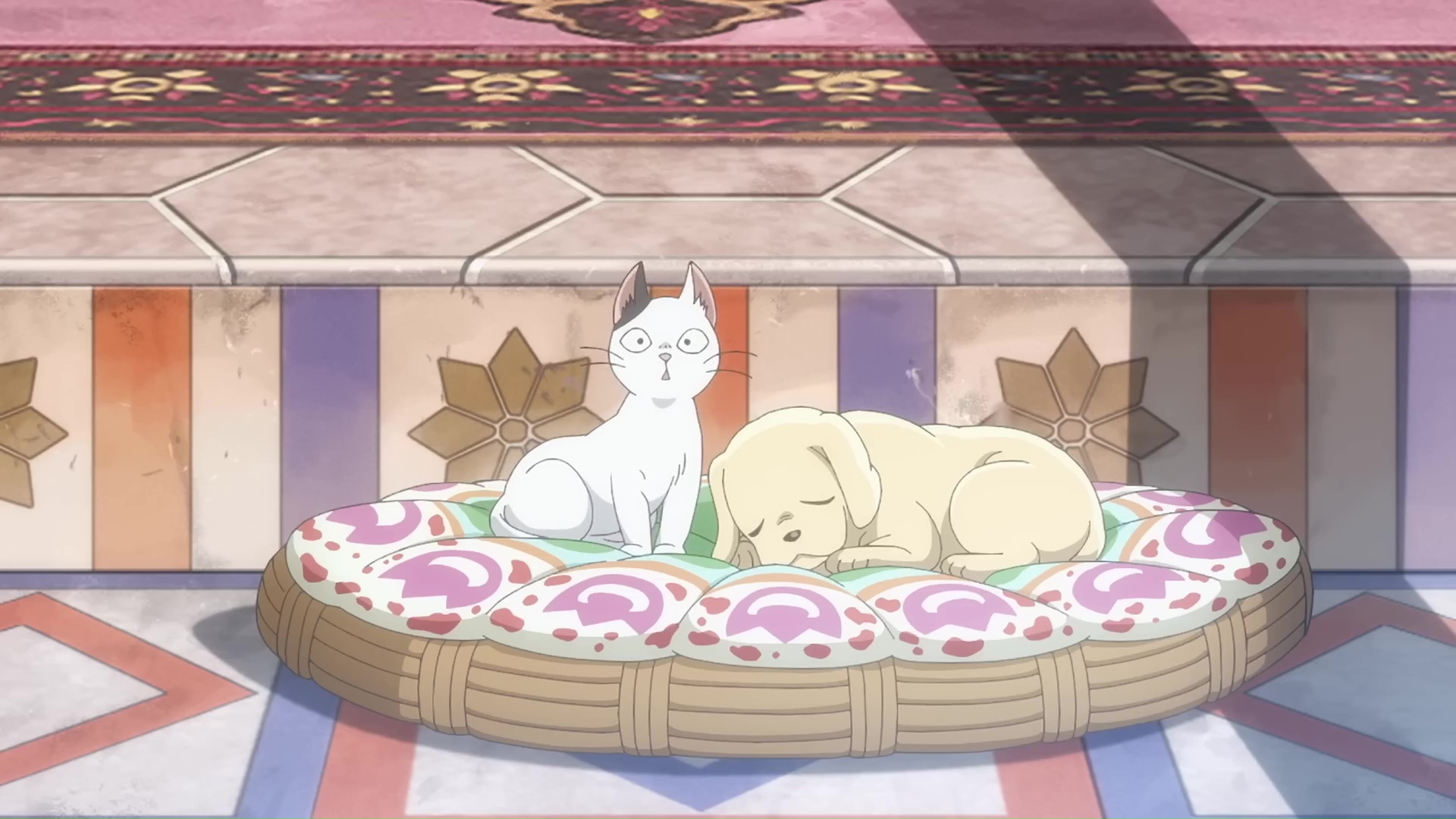 Kin no Kuni Mizu no Kuni (Anime) | AnimeClick.it
