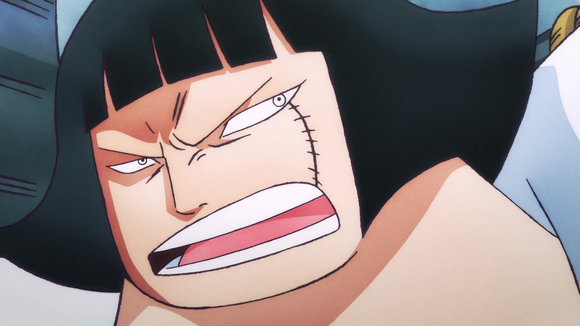 One Piece Log: Fish-Man Island Saga (Anime) | AnimeClick.it