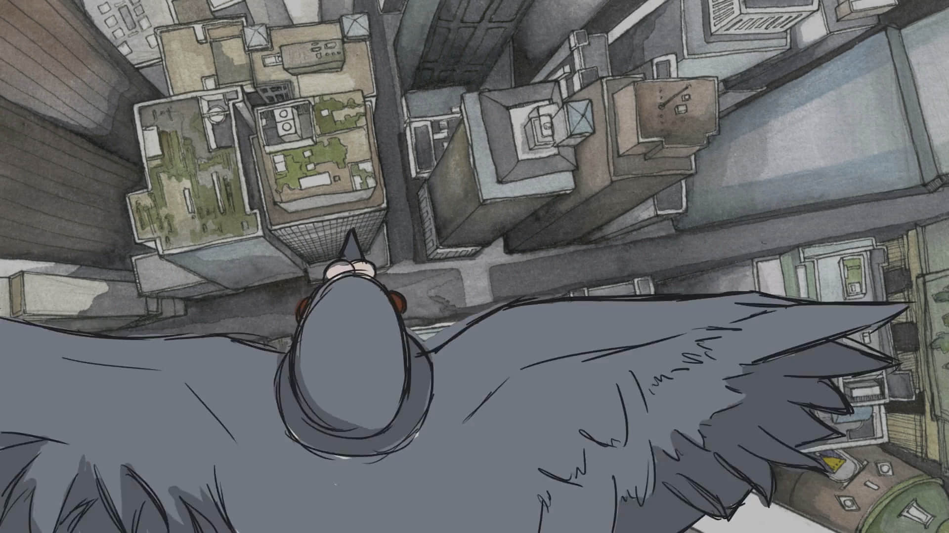 Pidge (Anime) | AnimeClick.it