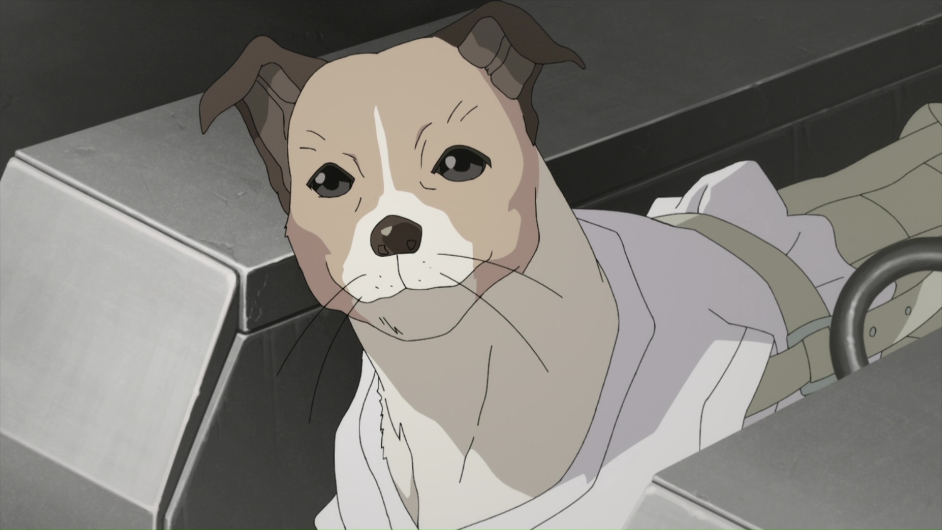 Irina: The Vampire Cosmonaut (Anime) | AnimeClick.it