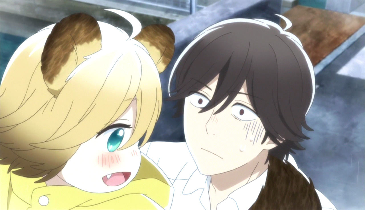 Udon no Kuni no Kiniro Kemari (Anime) | AnimeClick.it
