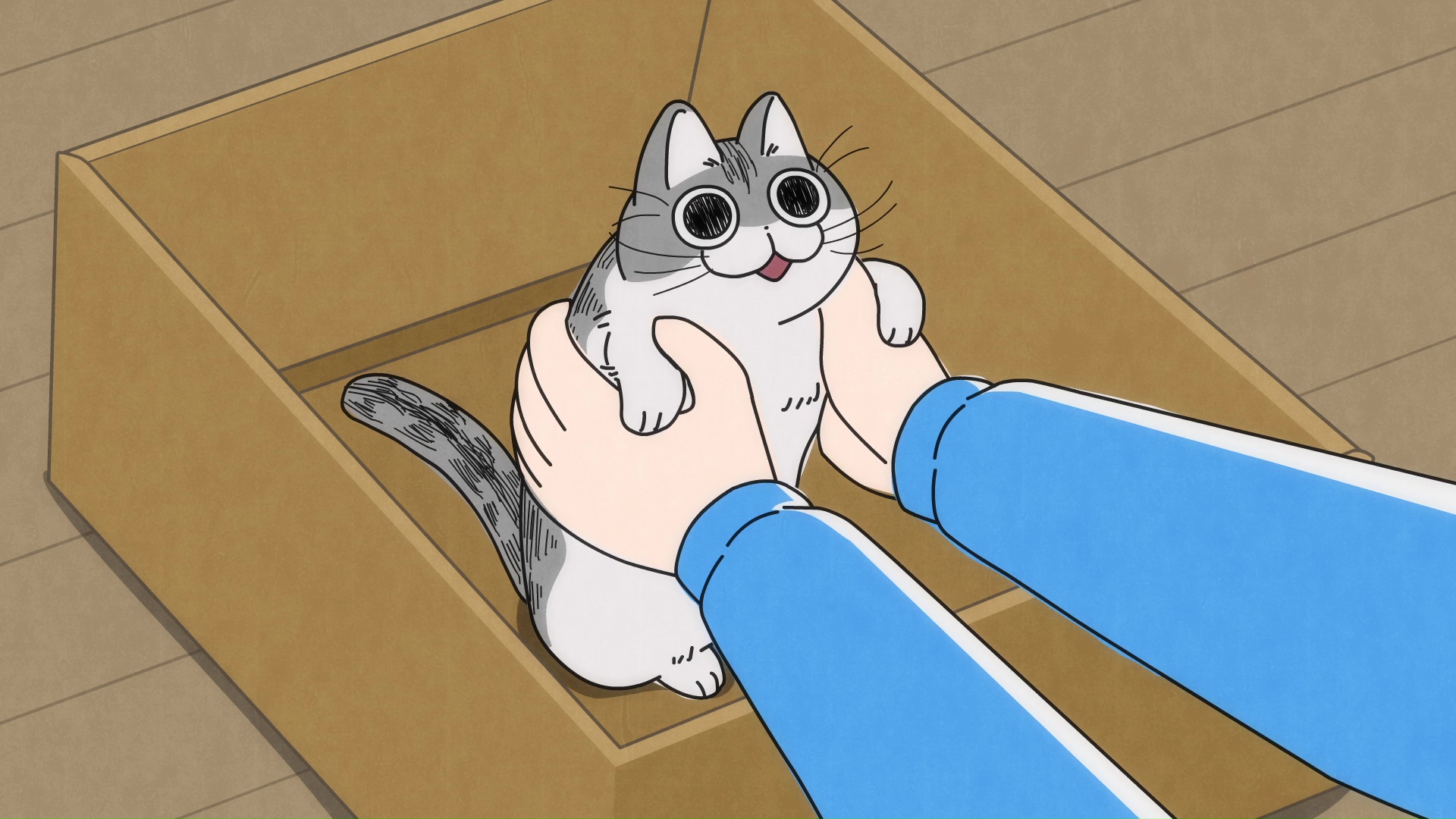 Yoru wa Neko to Issho (Anime) | AnimeClick.it