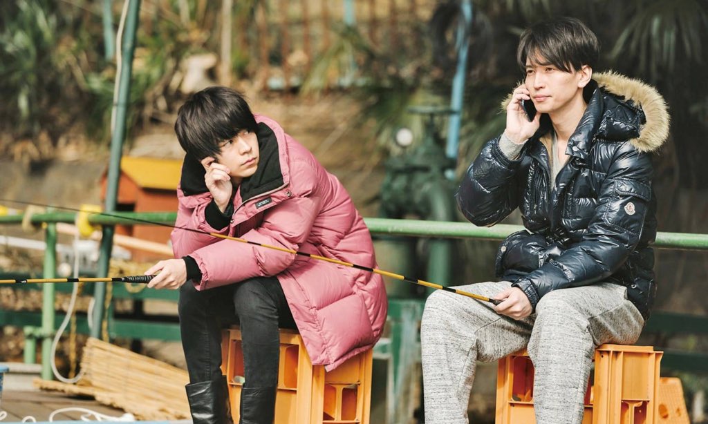 Kyuso wa Cheese no Yume wo Miru (Live) | AnimeClick.it