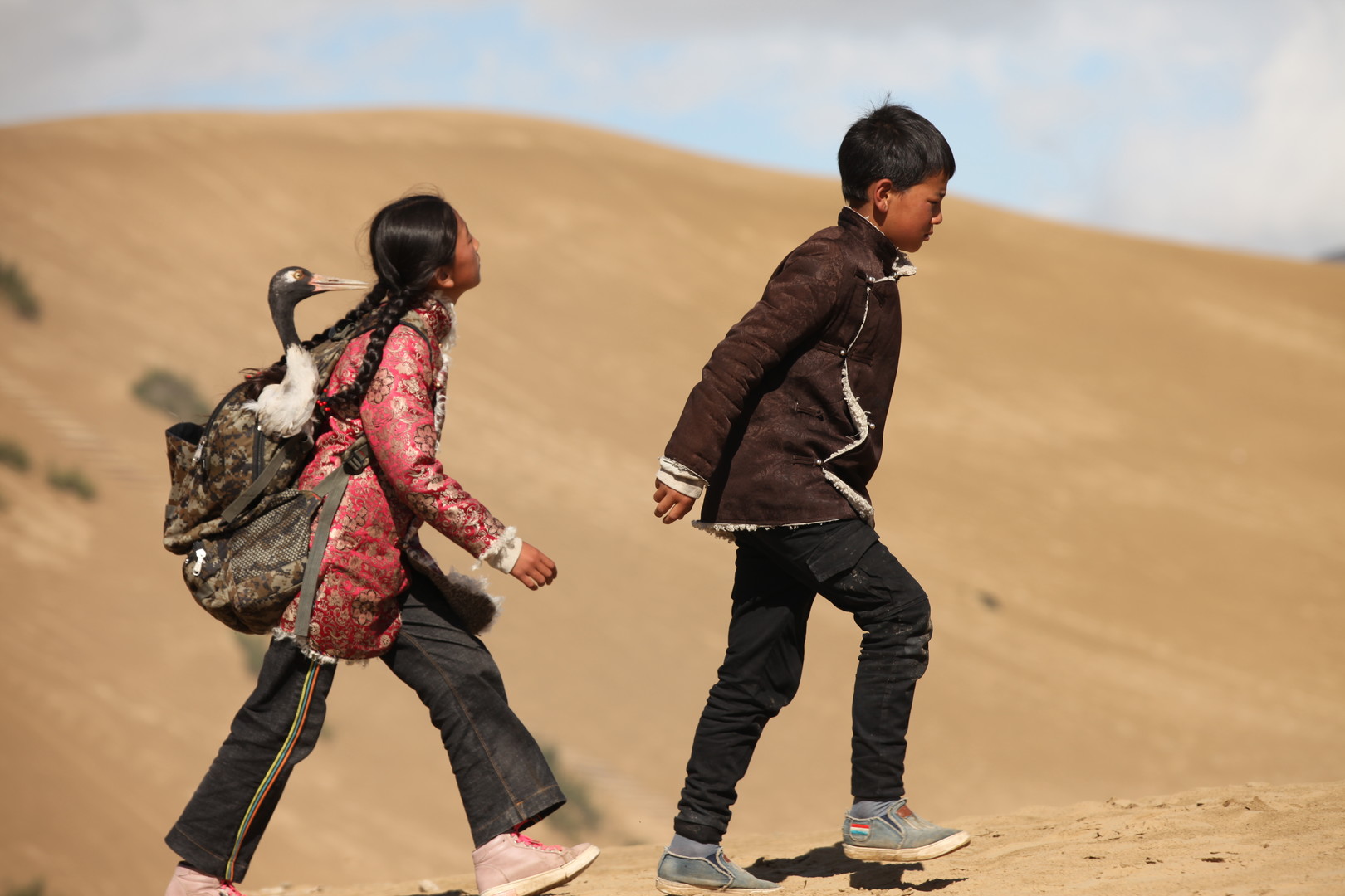 The Great Distance Delivers Crane (Live) | AnimeClick.it