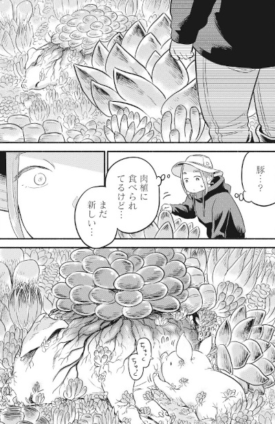 Midori no Daidokoro (Manga) | AnimeClick.it