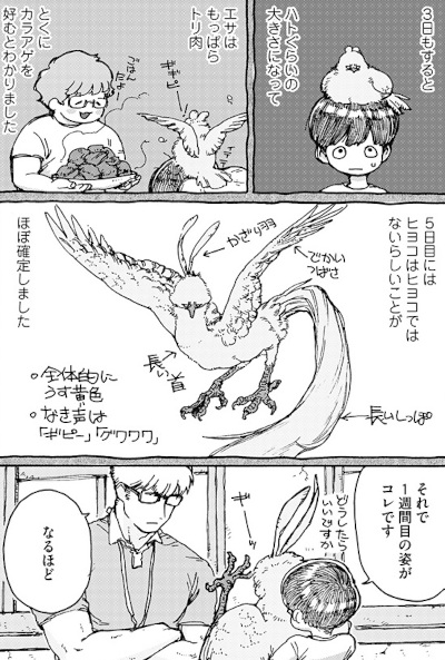 Sahashi e le creature fantastiche (Manga) | AnimeClick.it