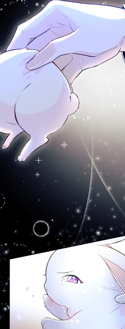 The Symbiotic Relationship Between a Panther and a Rabbit (Manga ...