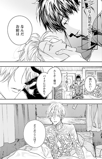 World's End Blue Bird (Manga) | AnimeClick.it