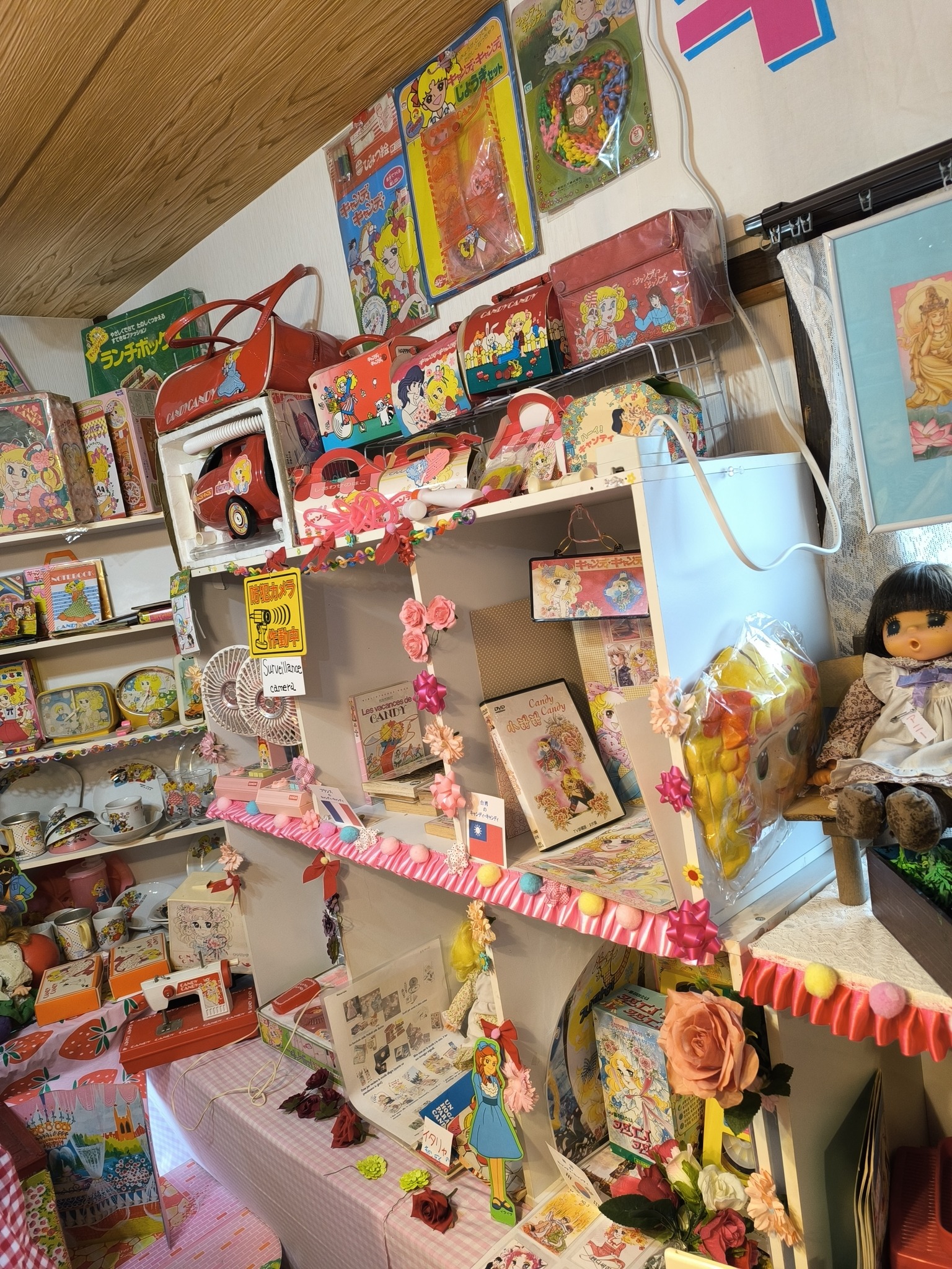 In Giappone con Kotaro: ricordo del museo di Candy Candy a Shibamata ...