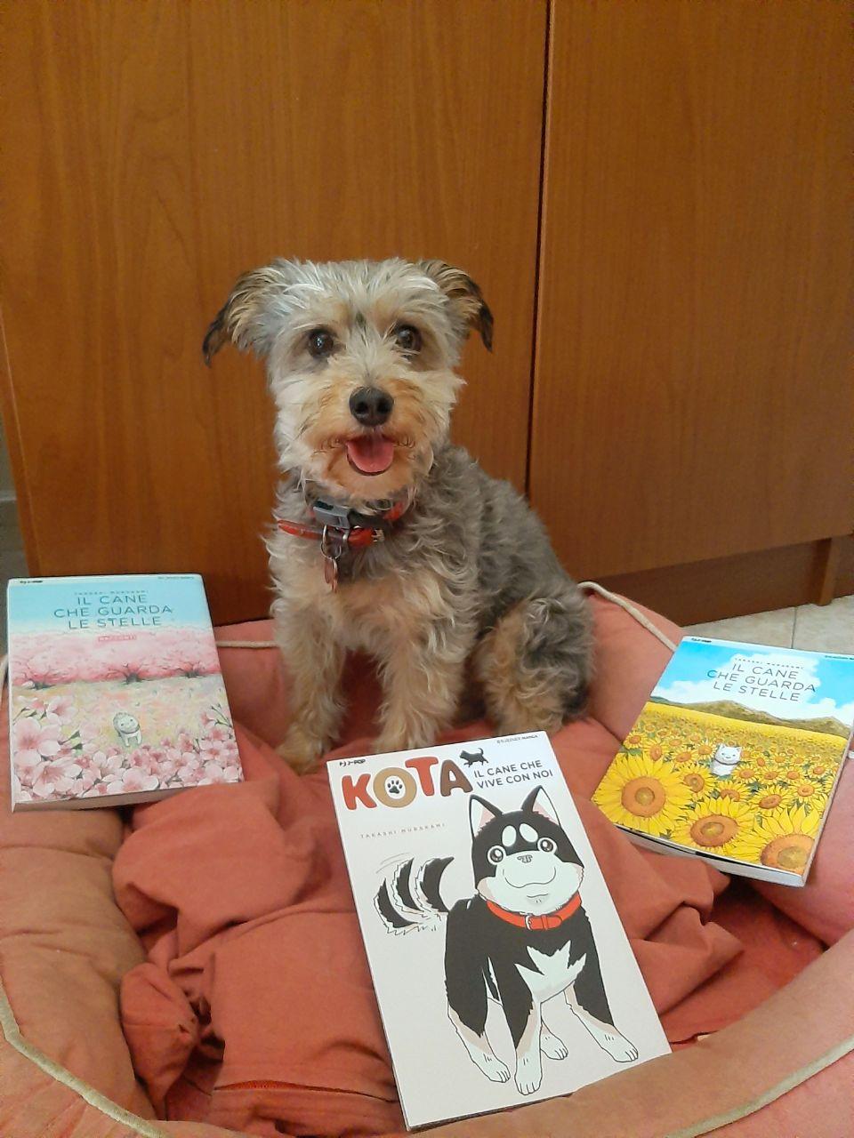 Kota - Il cane che vive con noi: l'ordinaria quotidianità di un buffo ...