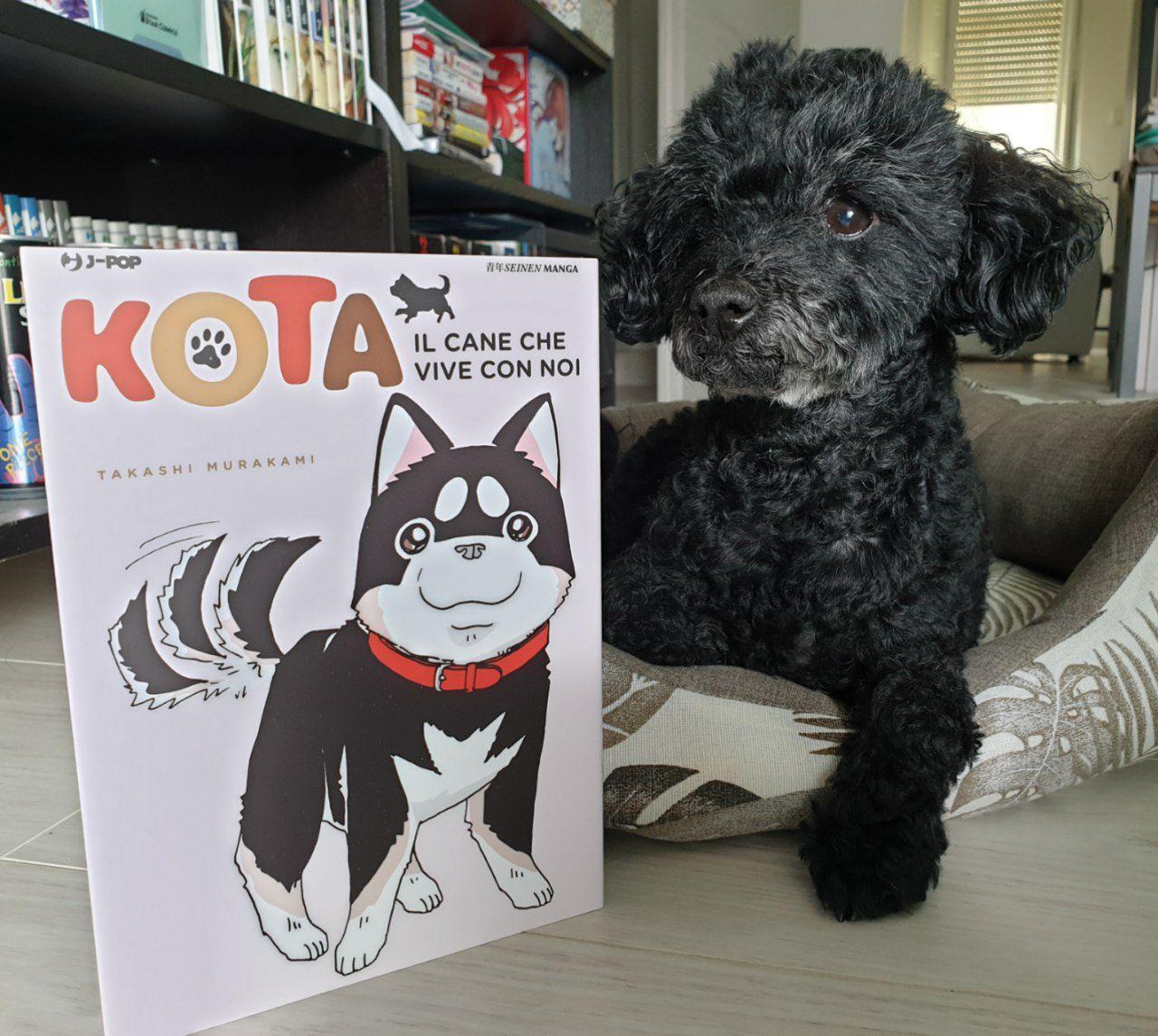 Kota - Il cane che vive con noi: l'ordinaria quotidianità di un buffo ...