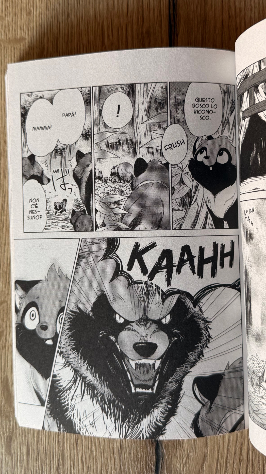 La Volpe e il Piccolo Tanuki: prime impressioni sulla dolcissima novità ...