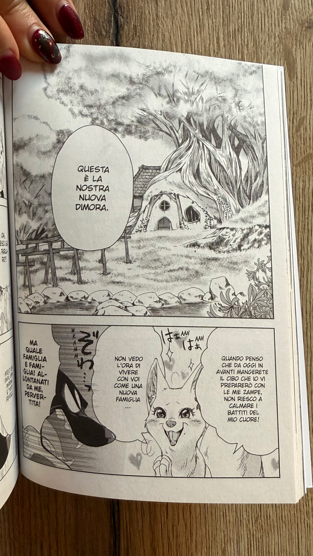 La Volpe e il Piccolo Tanuki: prime impressioni sulla dolcissima novità ...