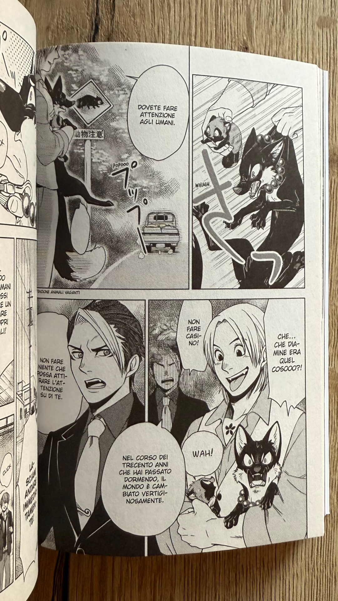 La Volpe e il Piccolo Tanuki: prime impressioni sulla dolcissima novità ...