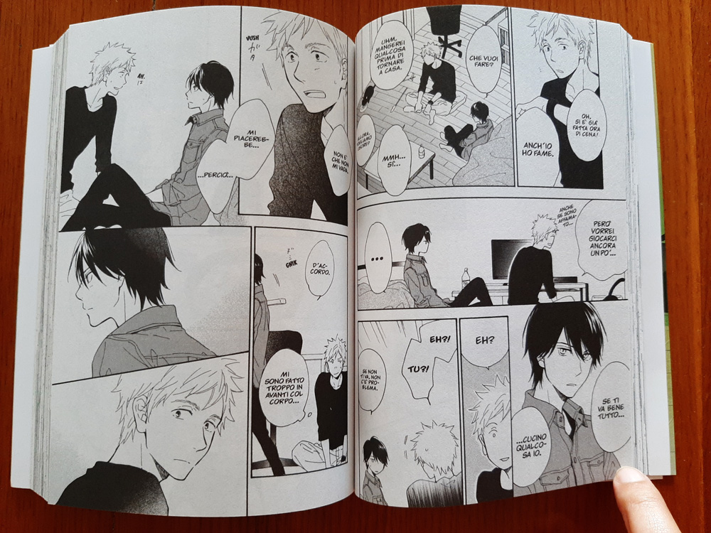 The Two Lions: torna la delicatezza di Nagisa Furuya - recensione ...