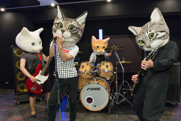 Cosplay: ora vanno di moda le teste di... gatto! | AnimeClick