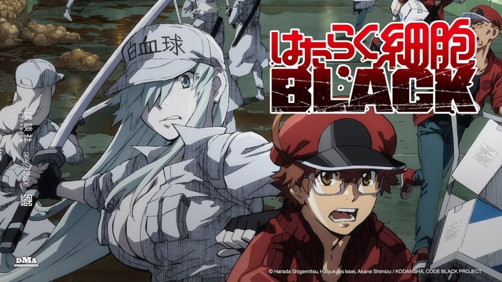 Cells at Work! Code Black: annunciato da Yamato Video | AnimeClick